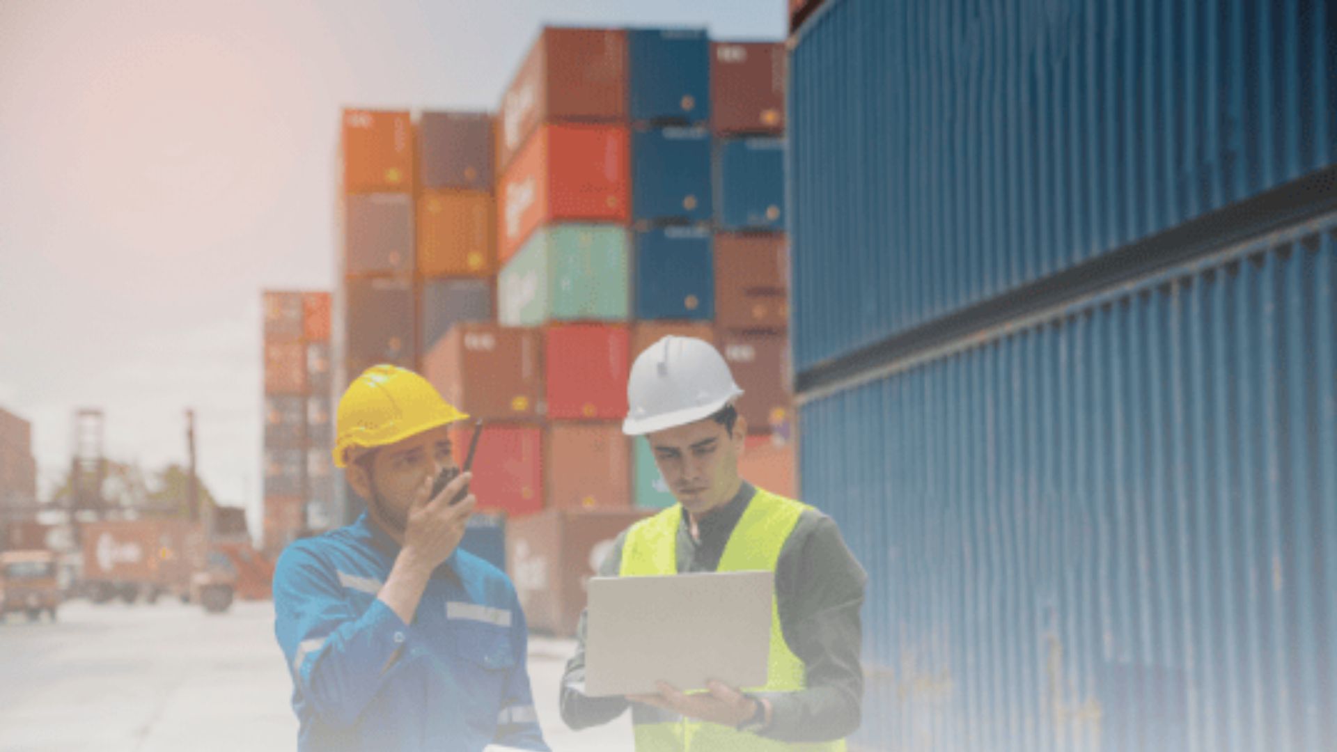 NetSuite for Transport and Logistics | Vursor